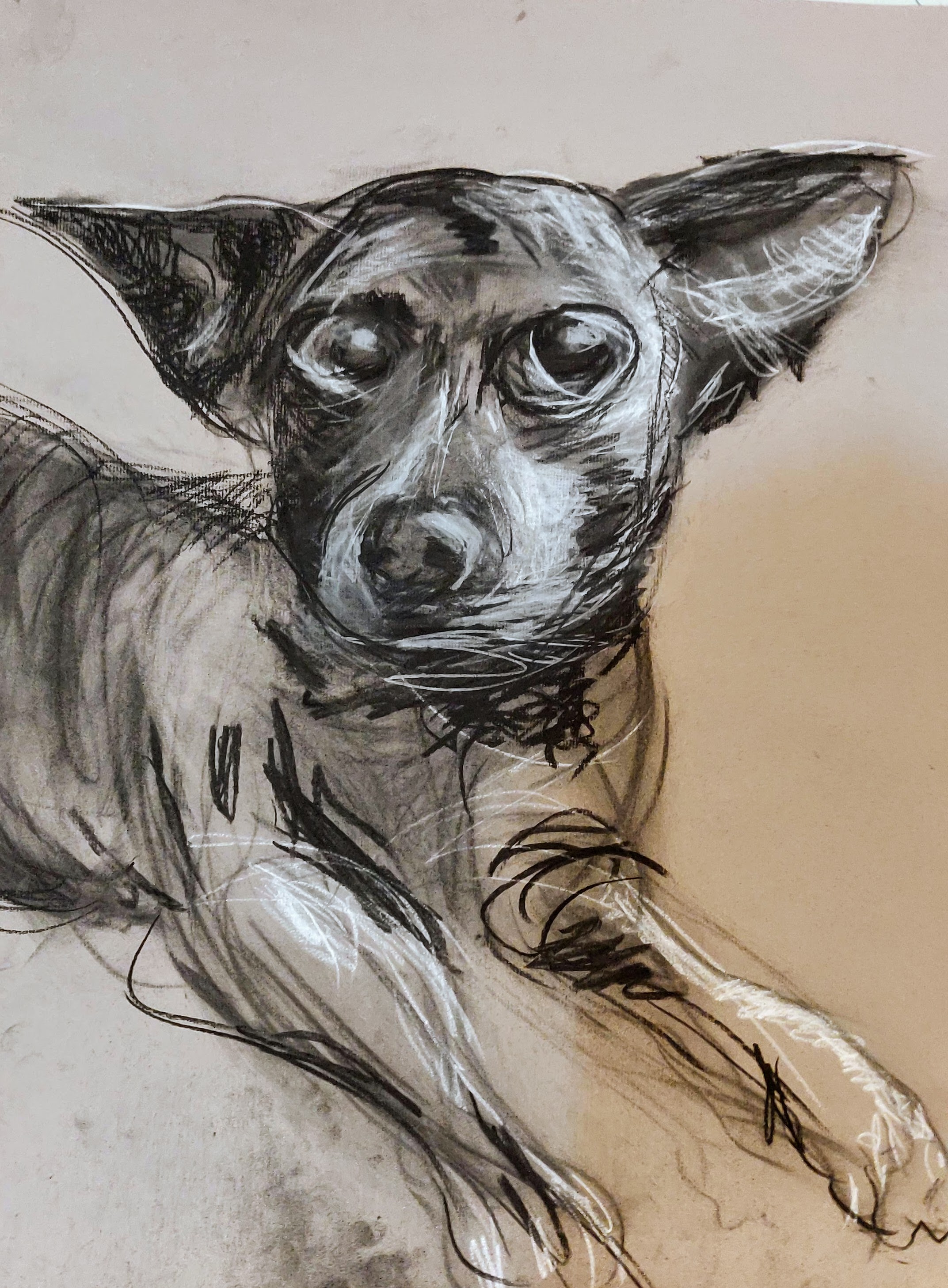 This thing is Jack – Rachel Admas